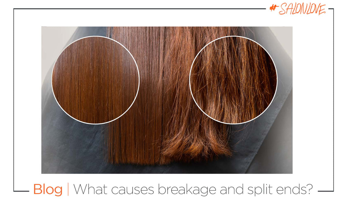 What causes breakage and split ends? — SalonLove